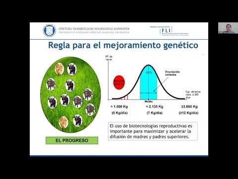 Avances en Reproducción Asistida en Genética Animal | Actualizado enero ...